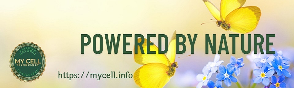 Home - MyCell Technology